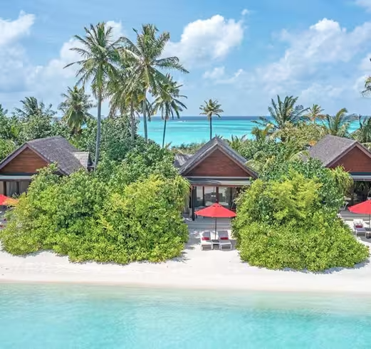 Breathe Wild. Travel Free. – simpliflytravels.com